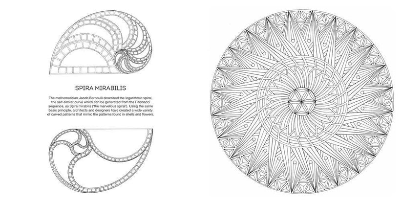 The Golden Ratio Coloring Book: And Mathematical Patterns – Cleveland ...
