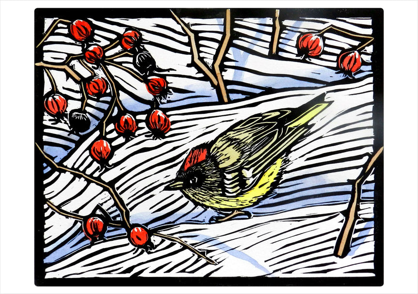 Molly Hashimoto: Winter Birds Holiday Card Assortment – Cleveland ...